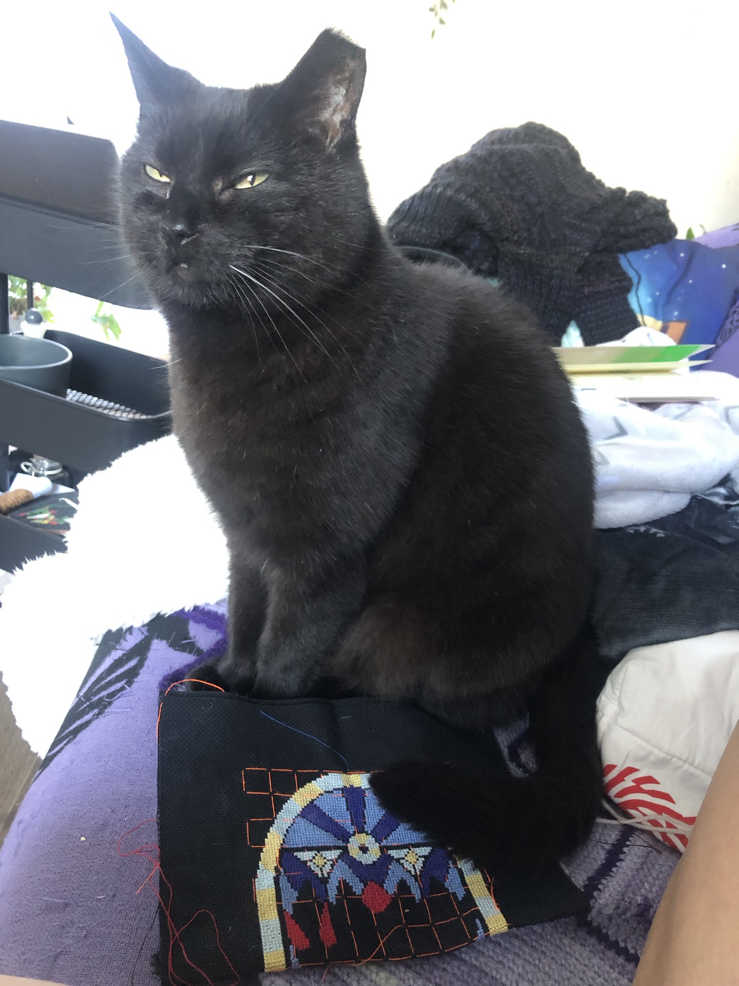 Updates – Tina Strange's Dark Arts